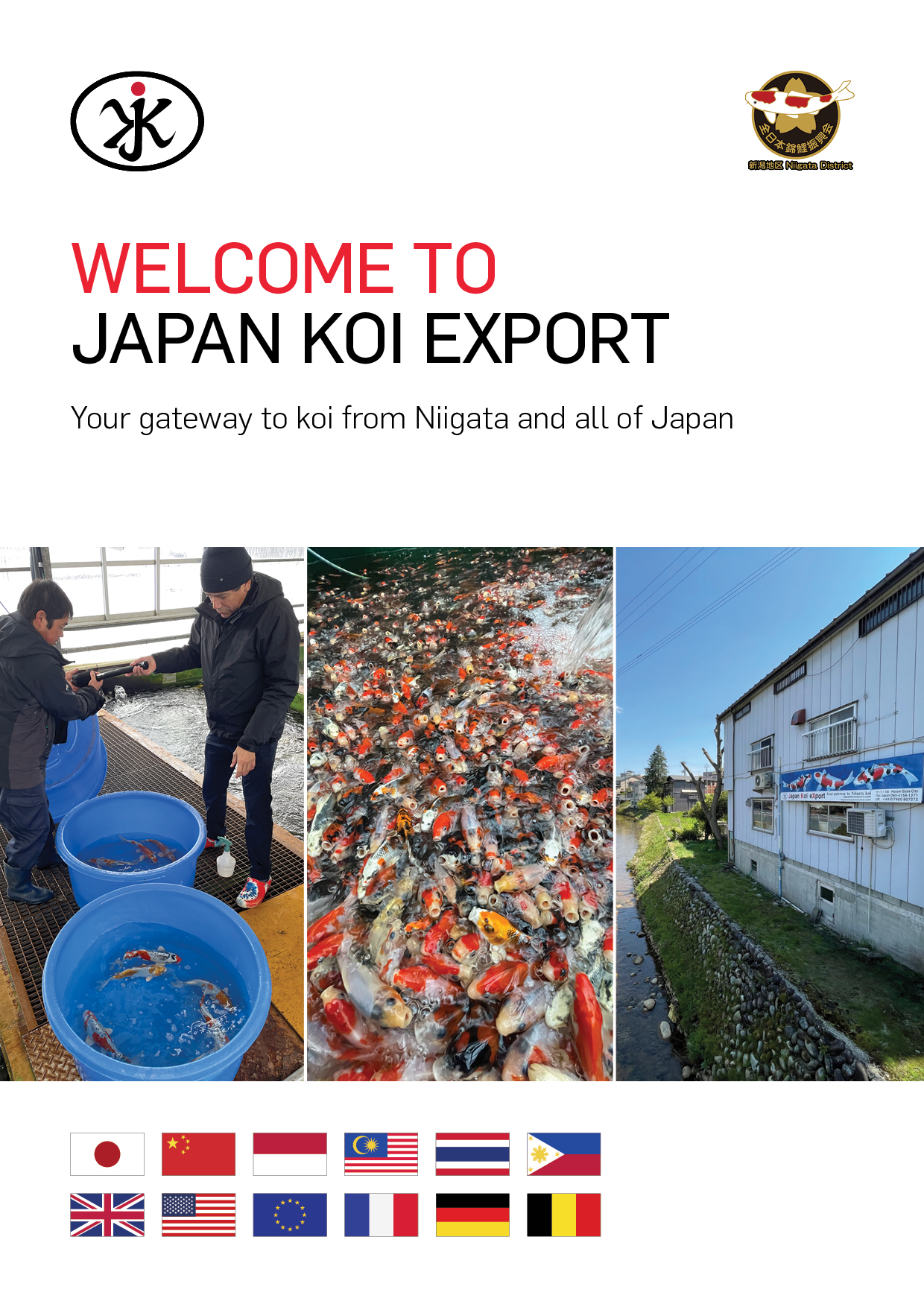 All about JKX – Japan Koi Export